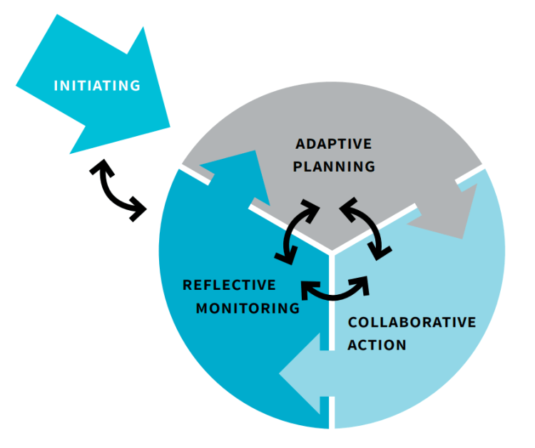 Process Model – MSP Guide