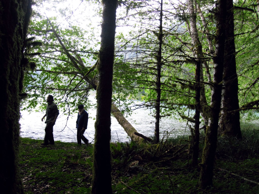 A Change of Scene – MSP Guide